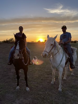 DIAMOND SPRINGS RANCH - Updated October 2025 - 28 Photos - 1734 SE 96th ...