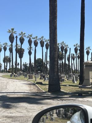 ANGELUS ROSEDALE CEMETERY - Updated October 2025 - 130 Photos & 47 ...