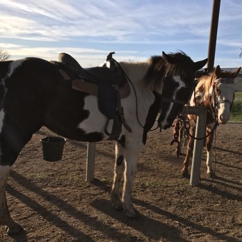 RIVER RANCH TEXAS HORSE PARK - Updated July 2025 - 71 Photos & 26 ...