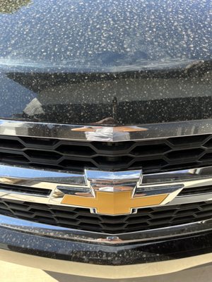 ORLANDO AUTO BODY - Updated January 2026 - 90 Photos & 126 Reviews ...