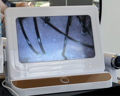 HAUS HEAD SPA - Updated December 2025 - 20 Photos & 31 Reviews - 10075 ...