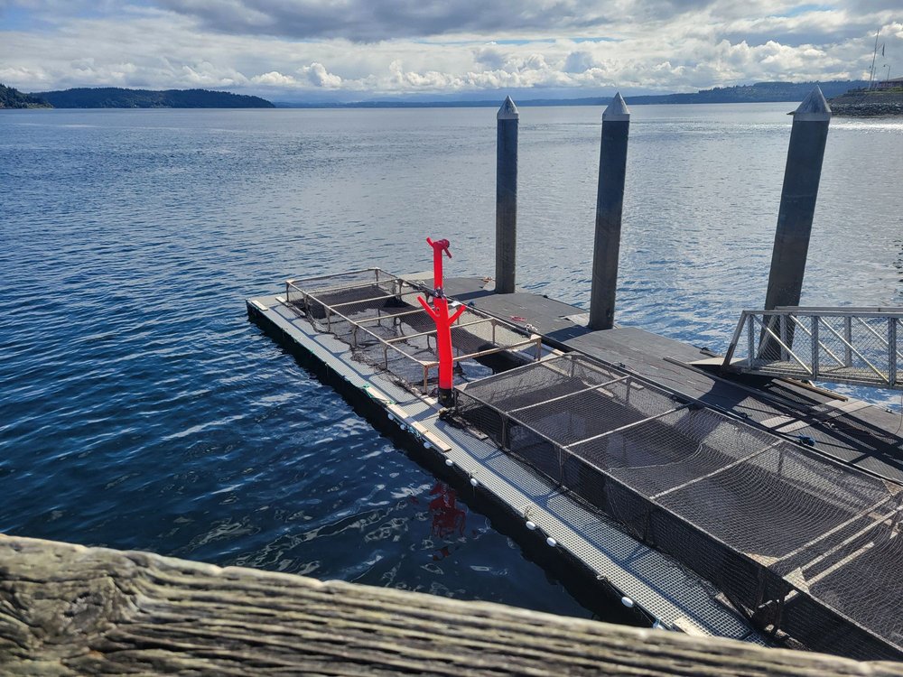 POINT DEFIANCE MARINA & BOATHOUSE - Updated August 2025 - 47 Photos ...