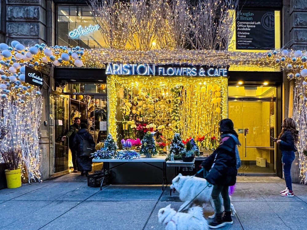 ARISTON FLOWERS & CAFE - Updated March 2025 - 76 Photos & 69 Reviews ...