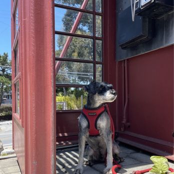 CARMEL HIGHLANDS GENERAL STORE - Updated January 2026 - 70 Photos & 35 ...