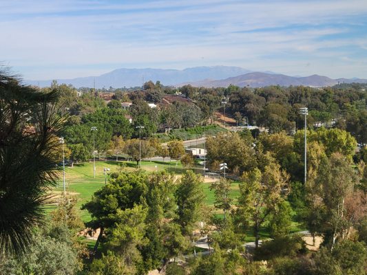 Temecula Public Library - Trusted Since 2008 - Updated July 2025 - 116 ...