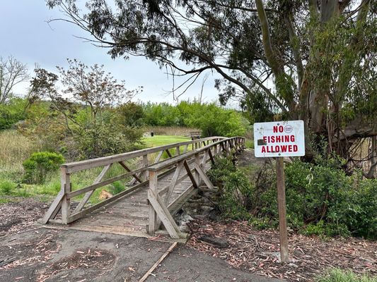 BLUE ROCK SPRINGS PARK - Updated May 2026 - 100 Photos & 37 Reviews ...