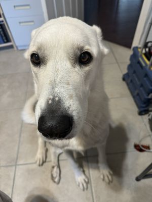 AUTONATION COLLISION CENTER LAS VEGAS - Updated December 2025 - 30 ...