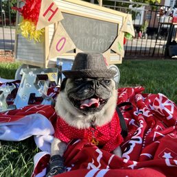 BACKPOCKET BREWING - Updated July 2025 - 201 Photos & 191 Reviews - 903 ...