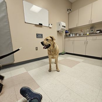 COLORADO STATE UNIVERSITY VETERINARY TEACHING HOSPITAL - Updated ...