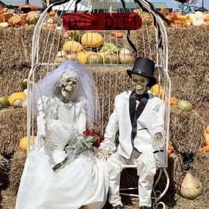 KELLY REEVES ATHLETIC COMPLEX - Updated September 2025 - 18 Photos ...