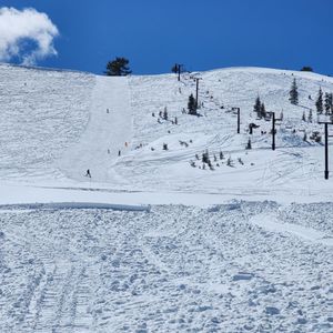 DONNER SKI RANCH - 100 Photos & 170 Reviews - 19320 Donner Pass Rd ...