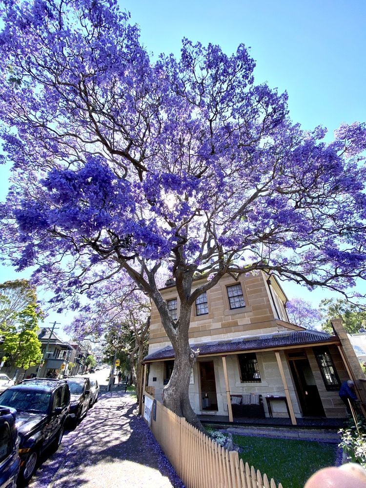 BALMAIN WATCH HOUSE - Updated June 2024 - 179 Darling St, Balmain New ...