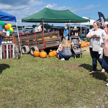 WESLEY WELLS FARM - Updated December 2025 - 108 Photos & 12 Reviews ...