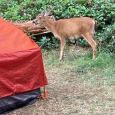 ELD INLET - Updated January 2025 - 11 Photos - Olympia, Washington ...