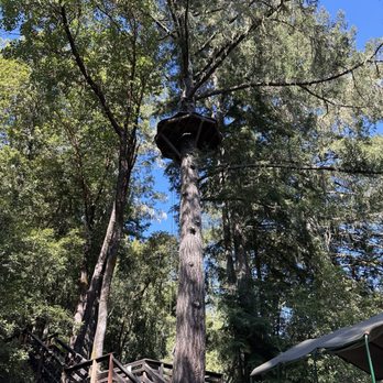 SONOMA ZIPLINE ADVENTURES - Updated June 2025 - 1116 Photos & 1218 ...