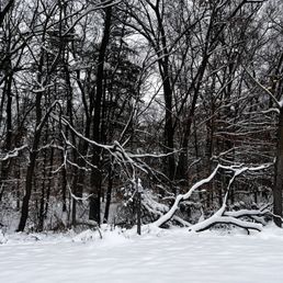 THE NORTHSIDE PUB - Updated July 2025 - 14 Photos & 38 Reviews - 2353 ...