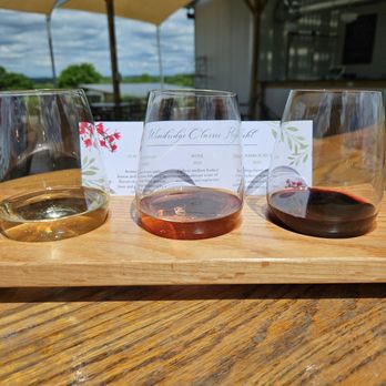WINDRIDGE VINEYARDS - Updated August 2025 - 520 Photos & 221 Reviews ...