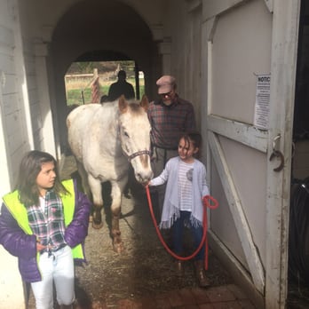 SEATTLE PONY PARTY - Updated June 2024 - 17 Photos & 18 Reviews - 12215 ...