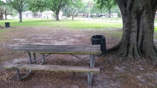 HANDLEY PARK - Updated April 2025 - 10 Photos - 1419 Phyllis St ...