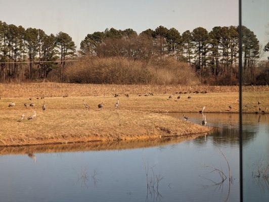 WHEELER NATIONAL WILDLIFE REFUGE - Updated October 2025 - 135 Photos ...