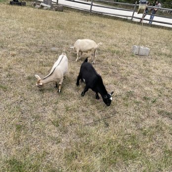 NORMAN J LEVY PARK & PRESERVE - Updated December 2024 - 501 Photos & 68 ...