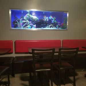 BLUE FIN SUSHI & GRILL - Updated May 2025 - 122 Photos & 205 Reviews ...