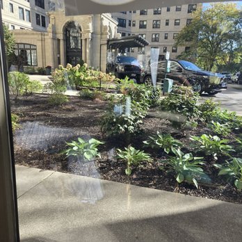 DAWN AM EATERY - Updated November 2024 - 264 Photos & 112 Reviews ...