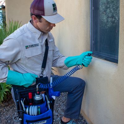 BULWARK EXTERMINATING - Updated December 2025 - 74 Photos & 341 Reviews ...