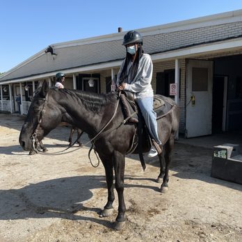 FOREST VIEW FARMS - Updated December 2025 - 65 Photos & 58 Reviews ...