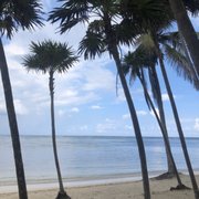 CHAMICOS - 154 Photos & 75 Reviews - Seafood - Soliman Bay, Tulum ...