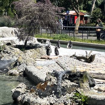 SAN FRANCISCO ZOO - Updated August 2024 - 5403 Photos & 1676 Reviews ...