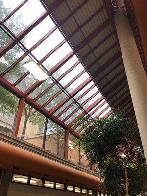 NORTH YORK CIVIC CENTRE - Updated December 2025 - 17 Photos - 5100 ...