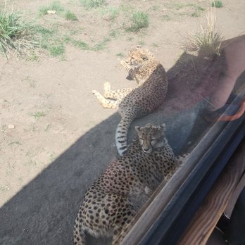 ANIMAL ARK - Updated July 2025 - 514 Photos & 158 Reviews - 1265 ...