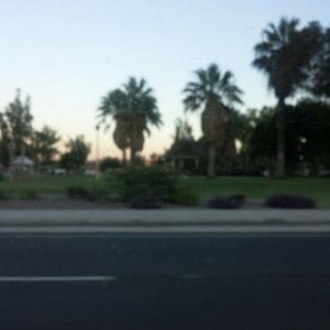 REID PARK - Updated August 2025 - 23 Photos & 12 Reviews - 800 N Orange ...