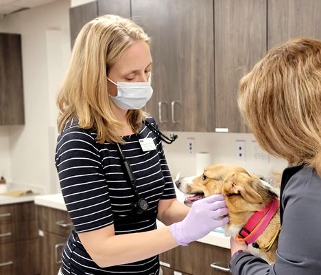 VCA TELEGRAPH ROAD ANIMAL HOSPITAL - Updated September 2025 - 17 Photos ...