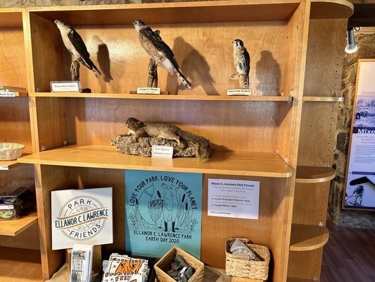 ELLANOR C LAWRENCE PARK - WALNEY VISITORS CENTER - Updated December ...