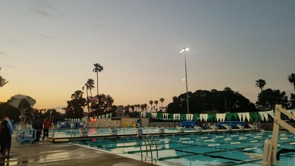 BELMONT PLAZA OLYMPIC POOL - Updated May 2025 - 37 Photos & 40 Reviews ...