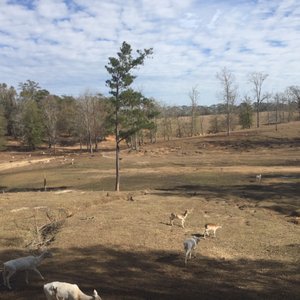 IRON HORSE STABLES - Updated May 2024 - 16 Photos - 11 Eden Ln ...