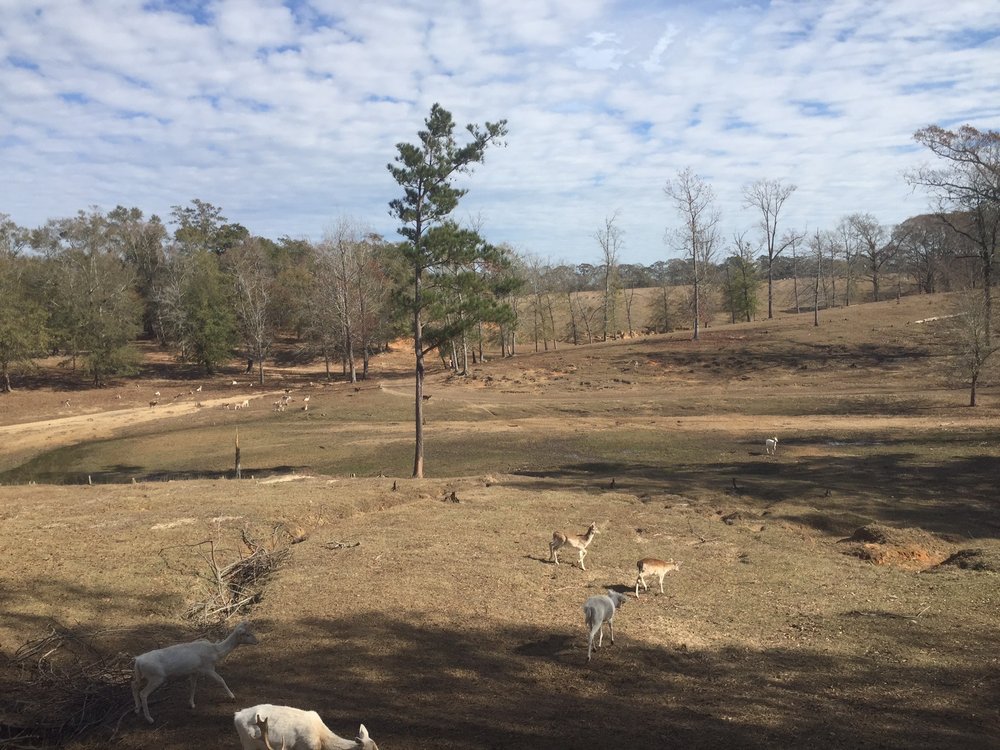 SANTA ROSA RANCH - Updated July 2025 - 10 Photos - 4340 Hwy 178, Jay ...