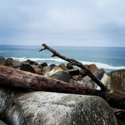 SEABRIGHT BEACH - 502 Photos & 213 Reviews - Beaches - 1305 E Cliff Dr ...