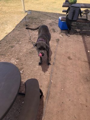 OXFORD RANCH CAMPGROUND - 18 Photos & 13 Reviews - 11380 S State Hwy 16 ...