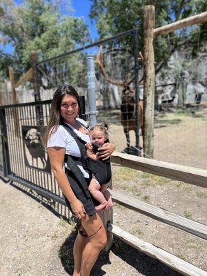 ZOO IDAHO- POCATELLO - Updated May 2025 - 11 Photos - 2900 S 2nd Ave ...