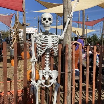 YESTERYEAR FARMS - TEMP. CLOSED - Updated March 2025 - 181 Photos & 100 ...