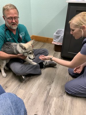FRONTIER VETERINARY CLINIC - Updated June 2025 - 42 Photos & 25 Reviews ...