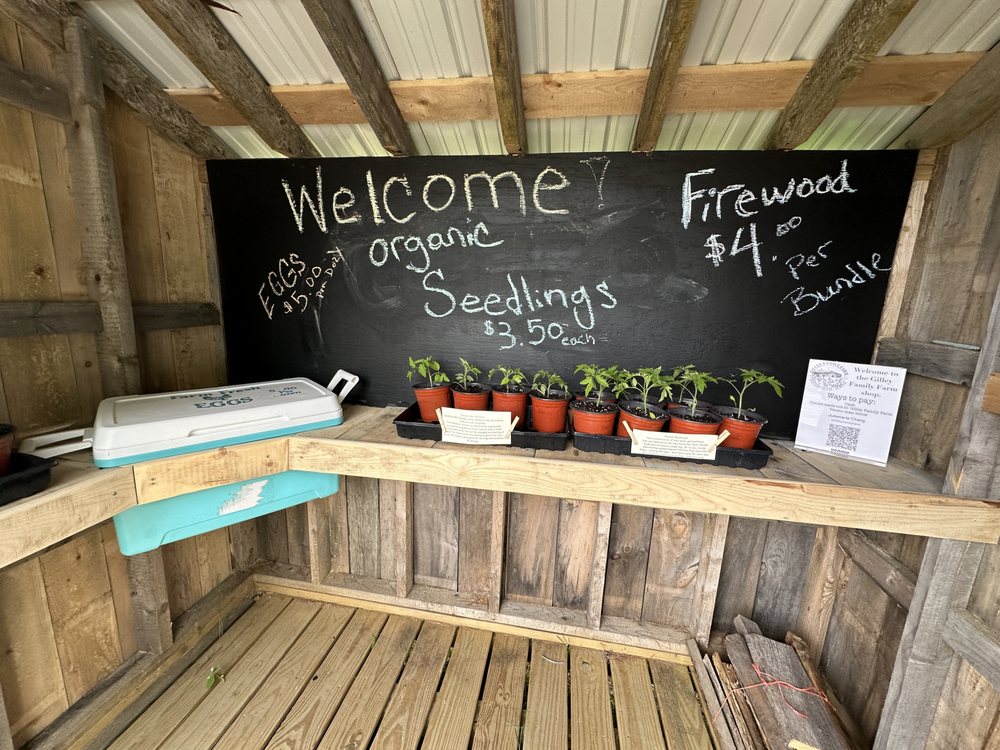 GILLEY FAMILY FARM - Updated June 2024 - 27 Amy’s Way, Ellsworth, Maine ...