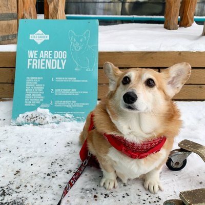 COLD GARDEN - Updated October 2025 - 50 Photos & 42 Reviews - 1100 11 ...