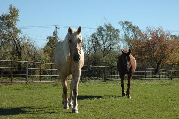 SHILO RANCH - Updated November 2025 - 42 Photos & 18 Reviews - 6900 ...