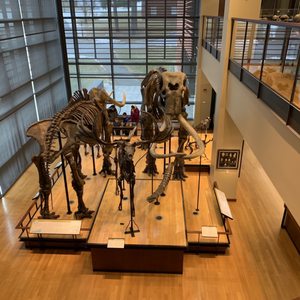 ERIC CARLE MUSEUM OF PICTURE BOOK ART - Updated June 2025 - 108 Photos ...