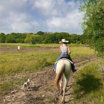 WESTCREEK TRAIL RIDES - Updated December 2025 - 109 Photos & 100 ...