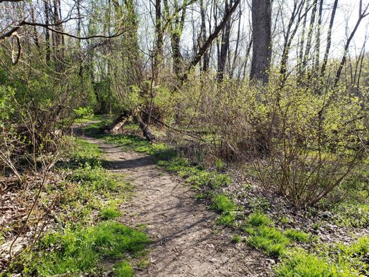 WAPPINGER CREEK GREENWAY TRAIL - Updated September 2024 - 26 Photos ...